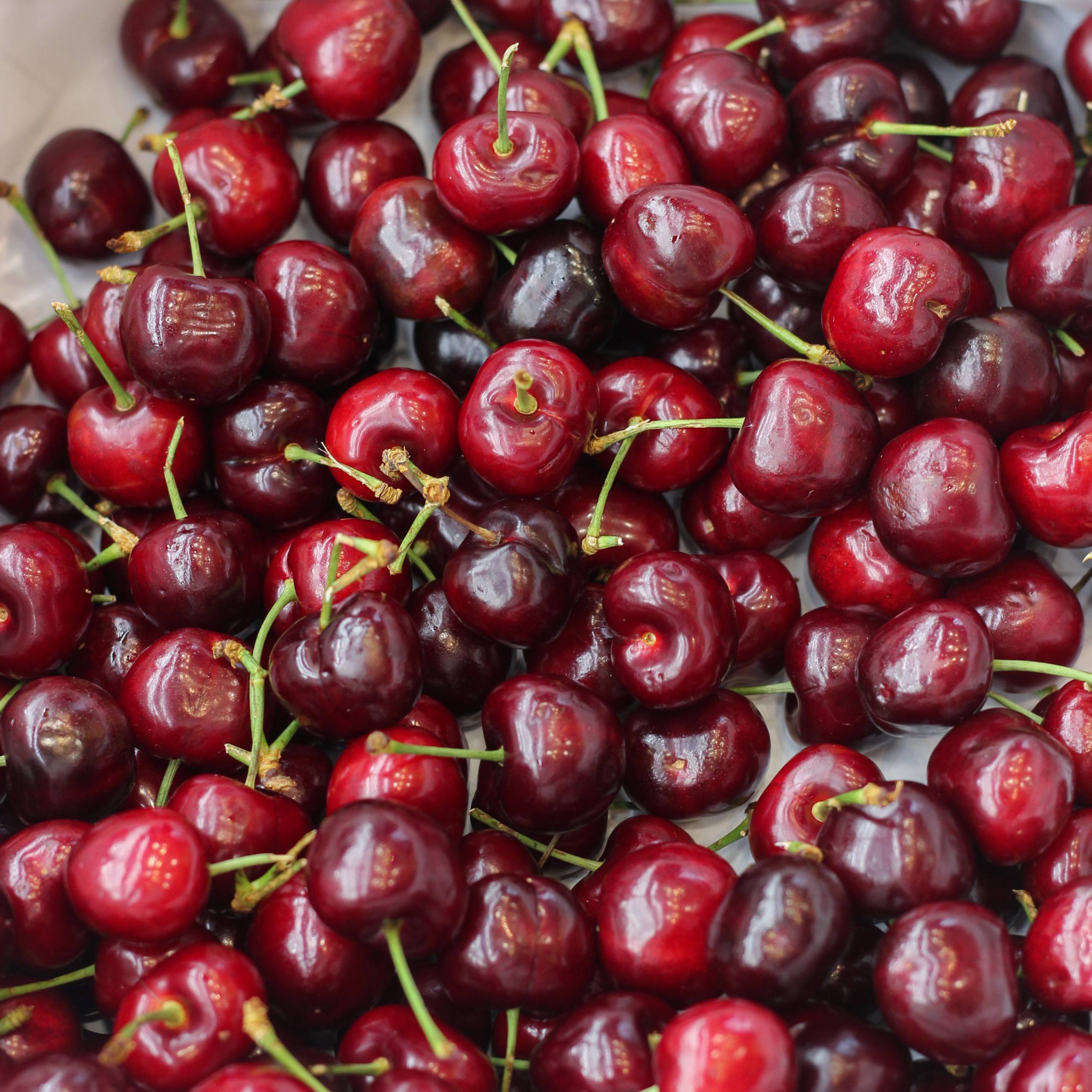 Nhập khẩu trái cherry - IPO LOGISTICS VIETNAM